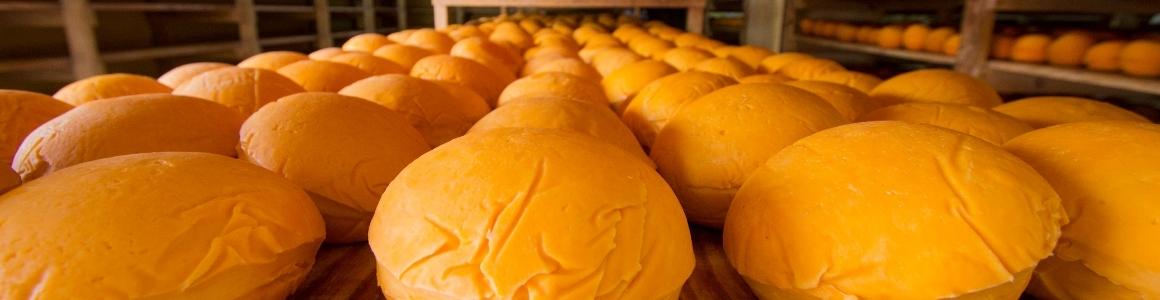 Saputo To Shift Cheese Production | HART Design & Manufacturing